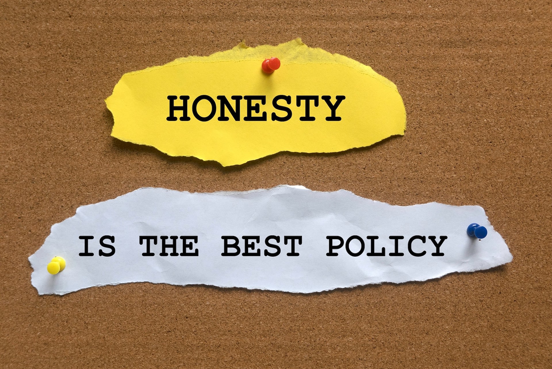 National Honesty Day – Stadium