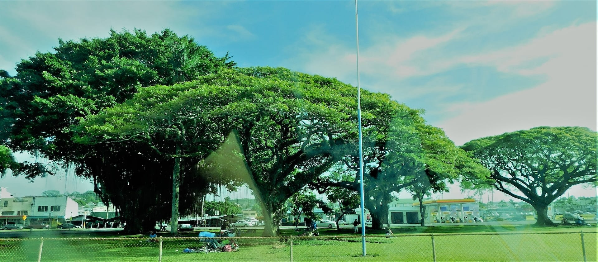 Arbor Day – Stadium